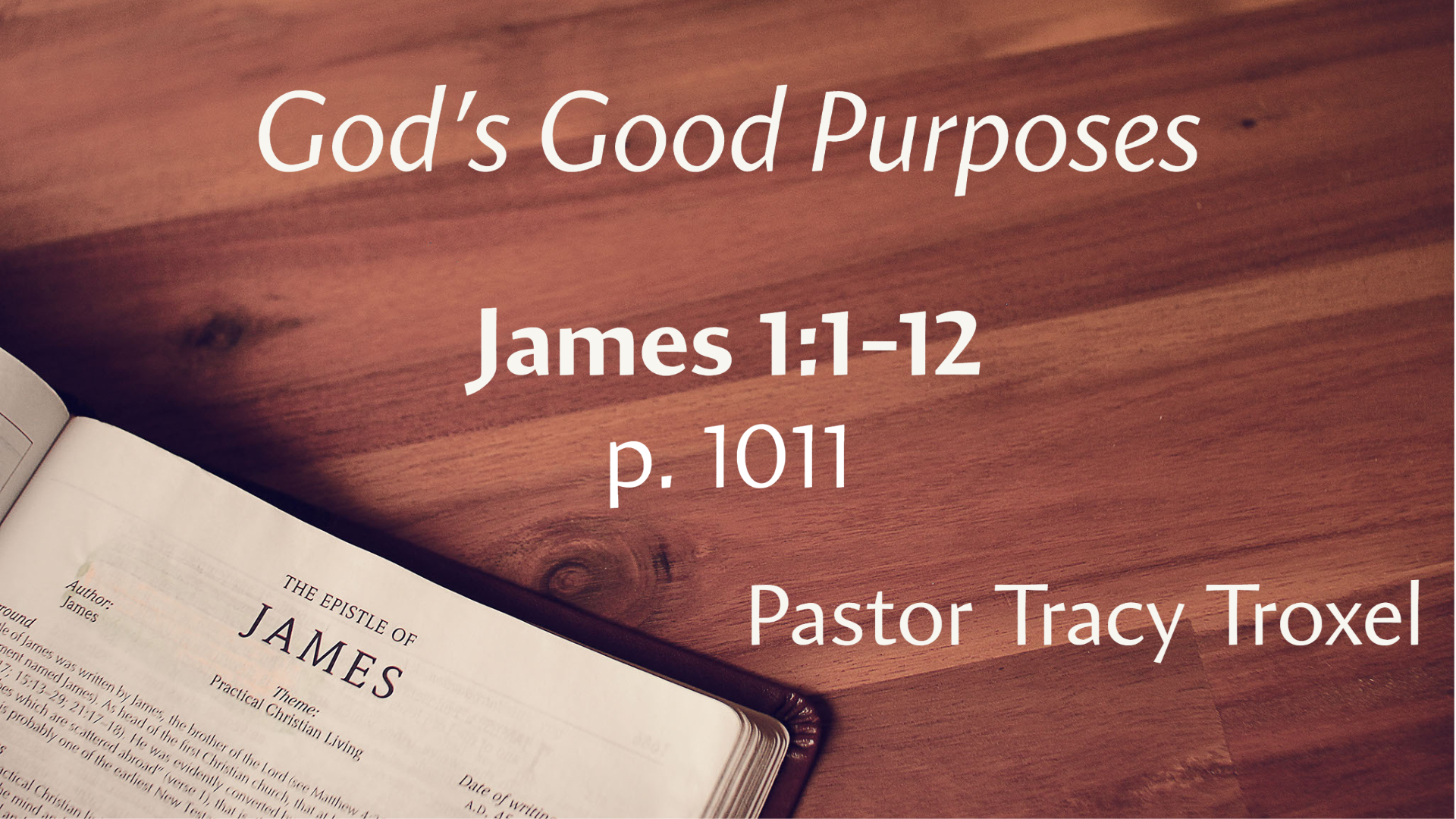God's Good Purposes | Stone Hill Church of Princeton